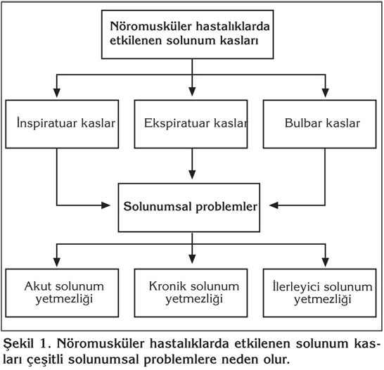 N?romusk?ler hastal?klardaki solunumsal problemlere g?ncel yakla??m